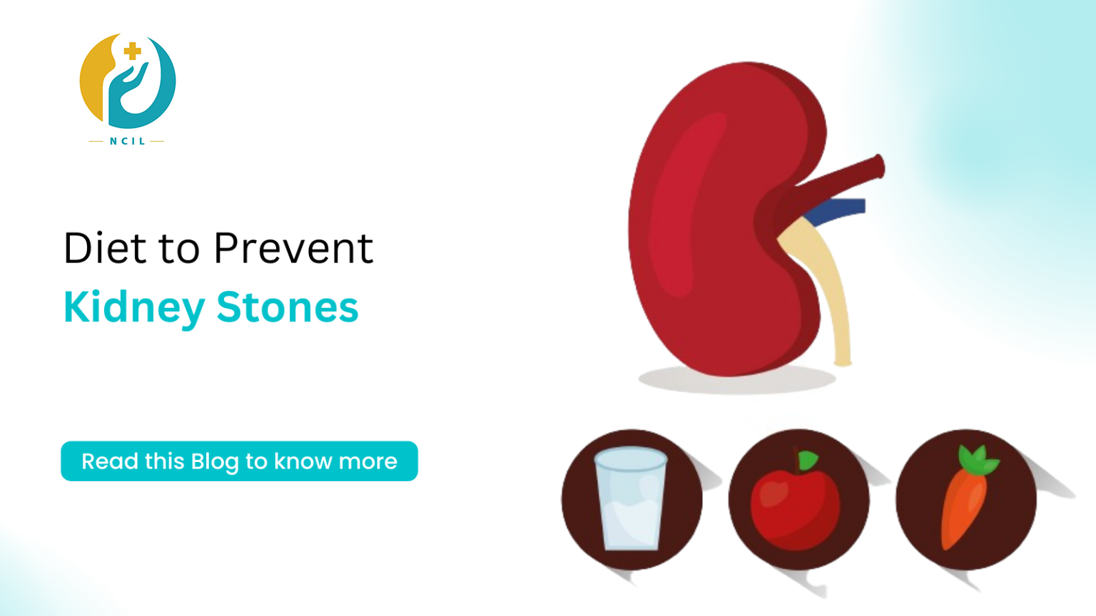 Diet to Prevent Kidney Stones - Nephro Care India