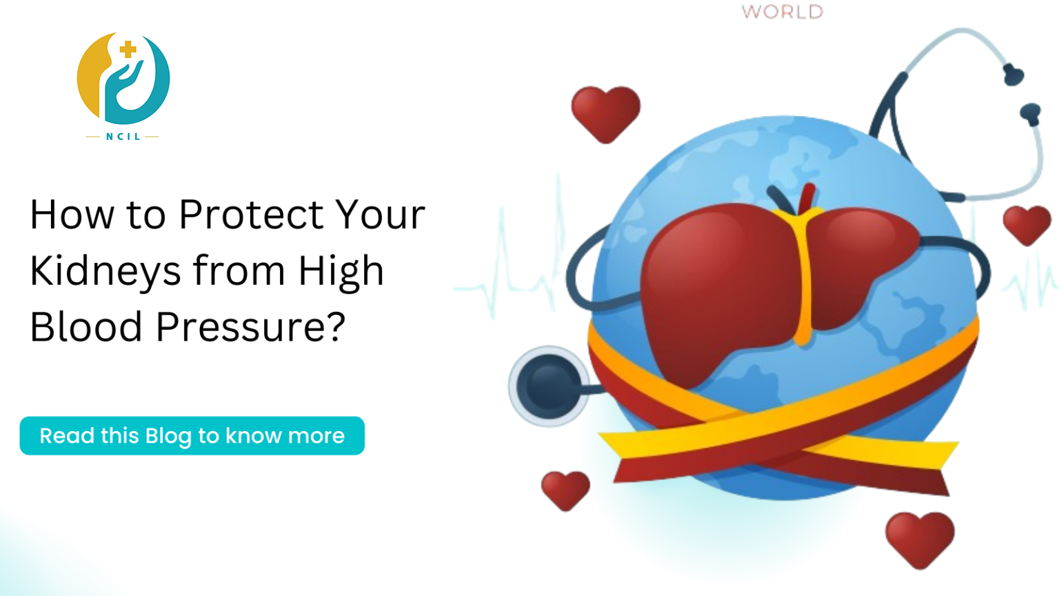 How to Protect Your Kidneys from High Blood Pressure?
