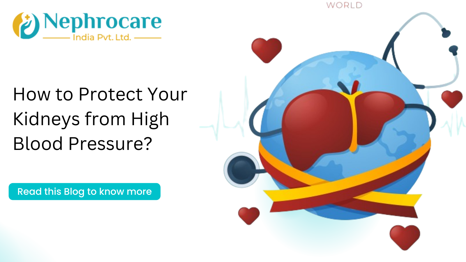 How to Protect Your Kidneys from High Blood Pressure?