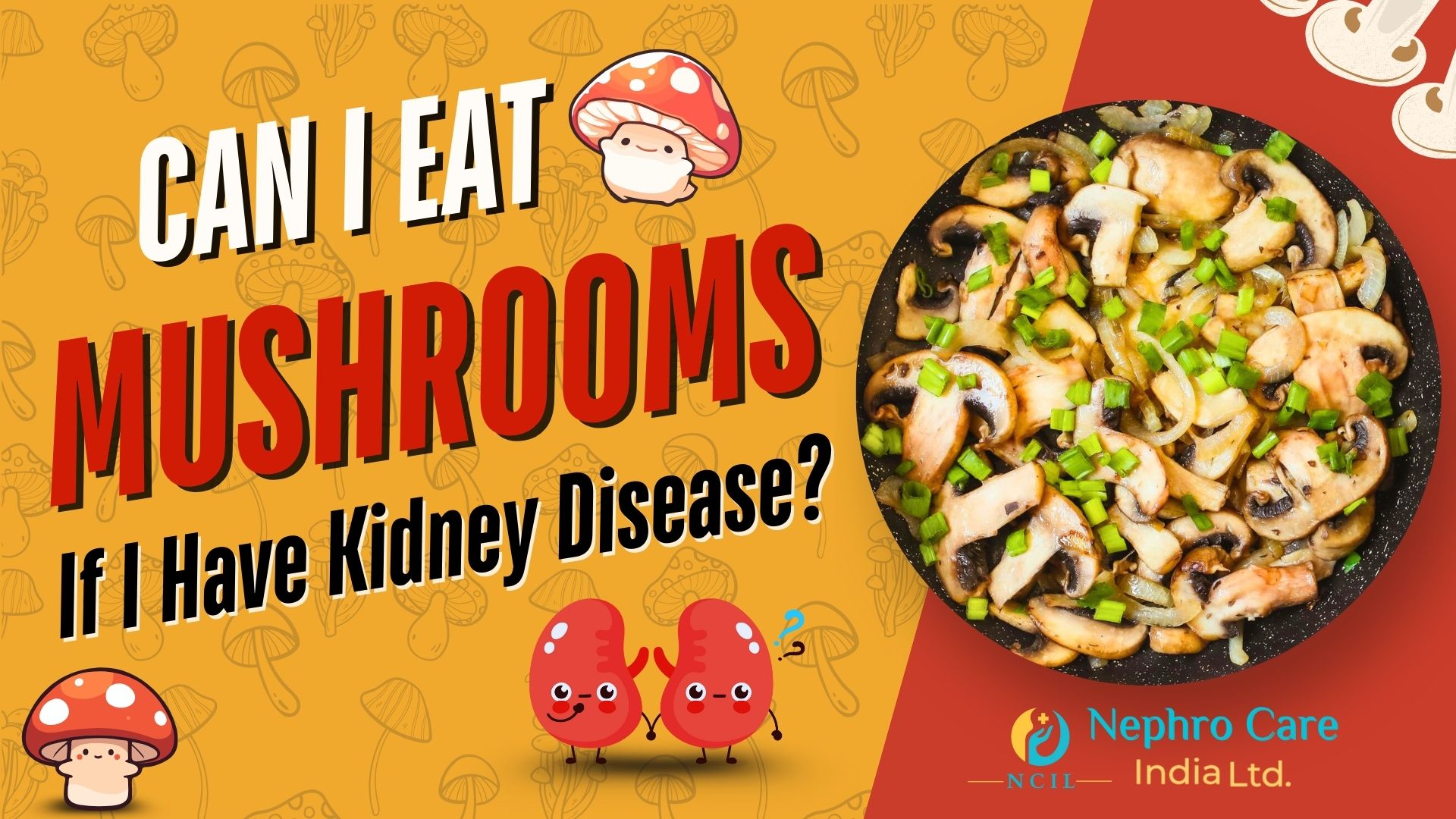Can I Eat Mushrooms If I Have Kidney Disease? - Nephro Care India