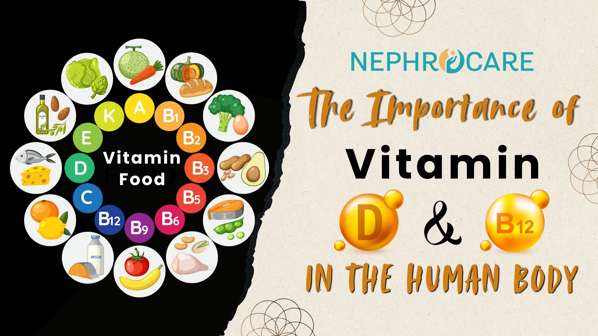 The Importance of Vitamin D and B12 in the Human Body - Nephro Care India